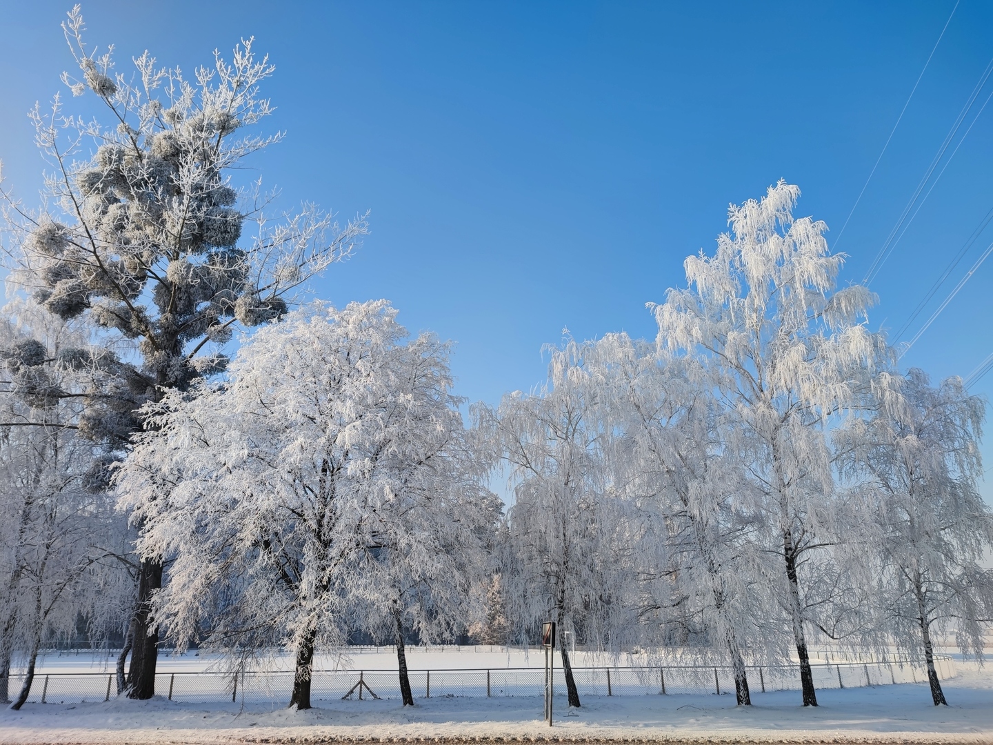 Wiadomości - Urząd Gminy Dominowo